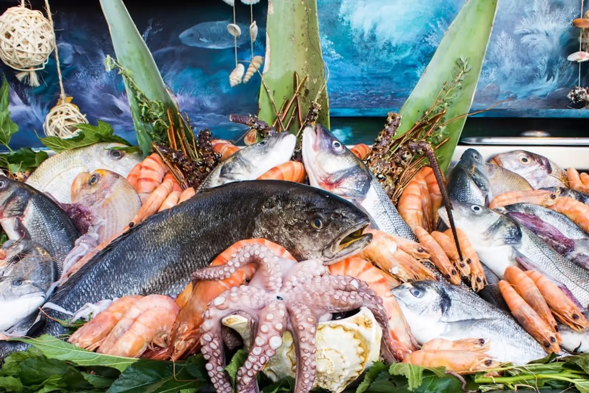 Mahide Ocakbaşı, Üsküdar, İstanbul