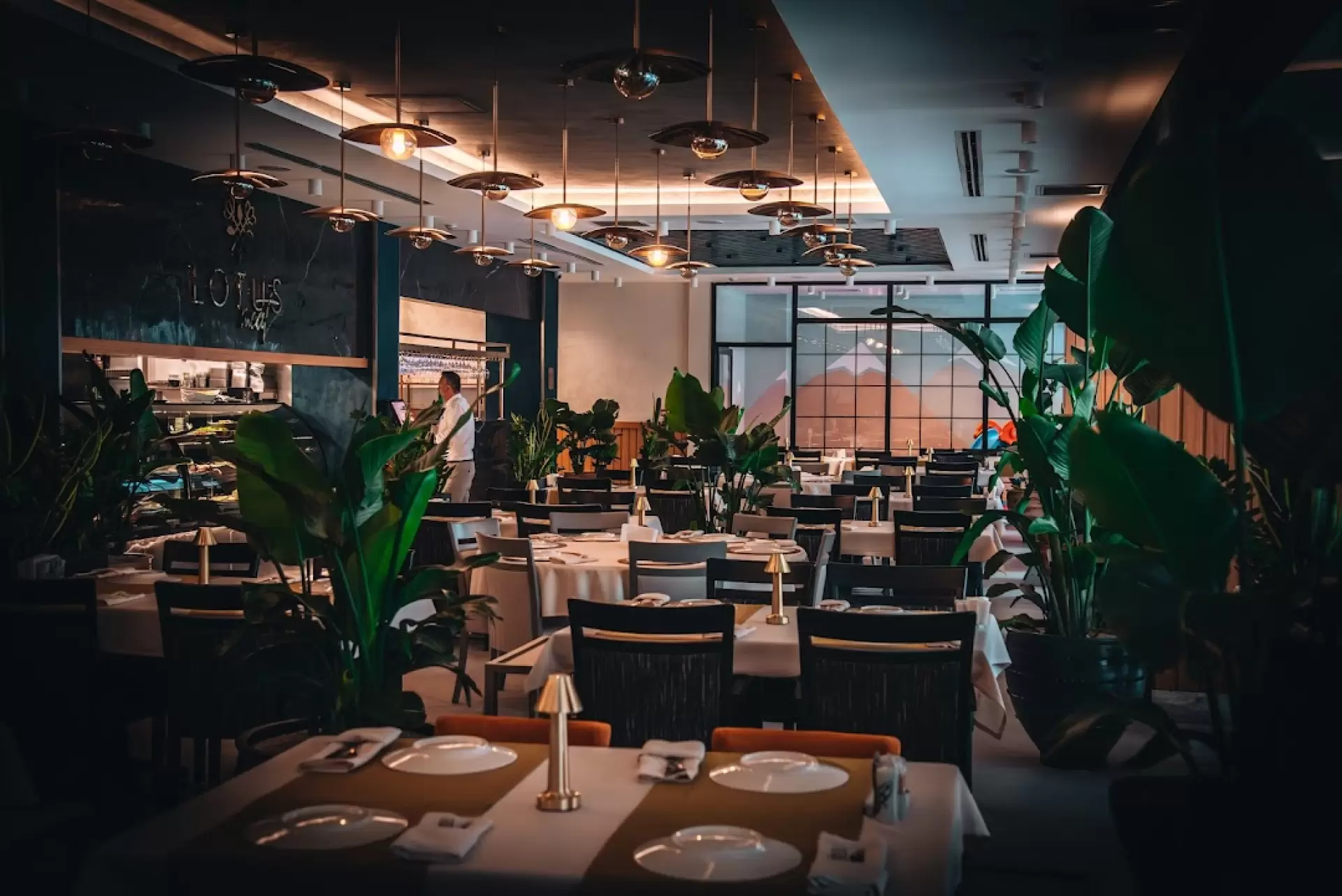 Lotus Meat, İzmit, Kocaeli